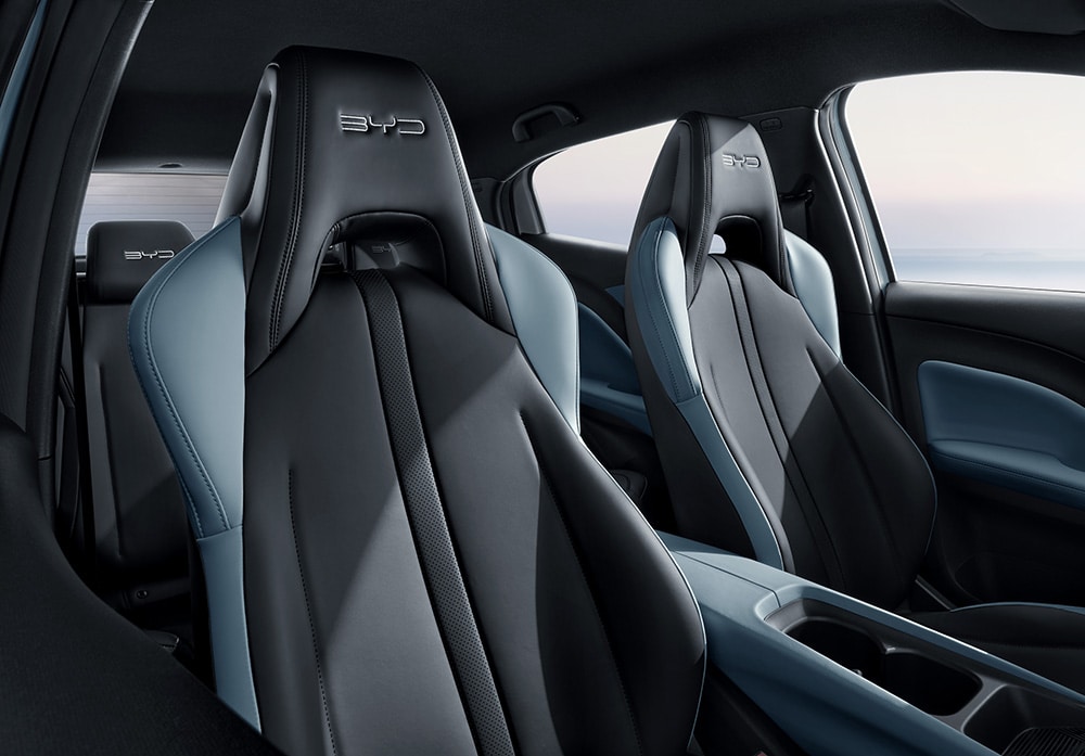 SEAGULL - BYD Costa Rica