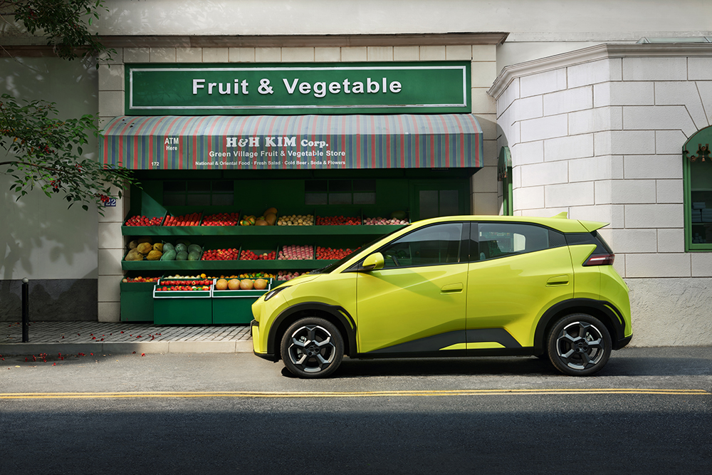 SEAGULL - BYD Costa Rica