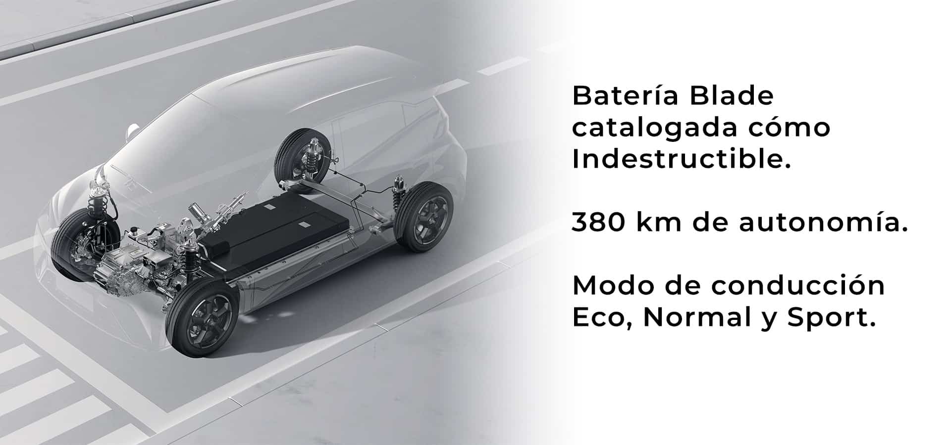 SEAGULL - Agencia BYD Costa Rica